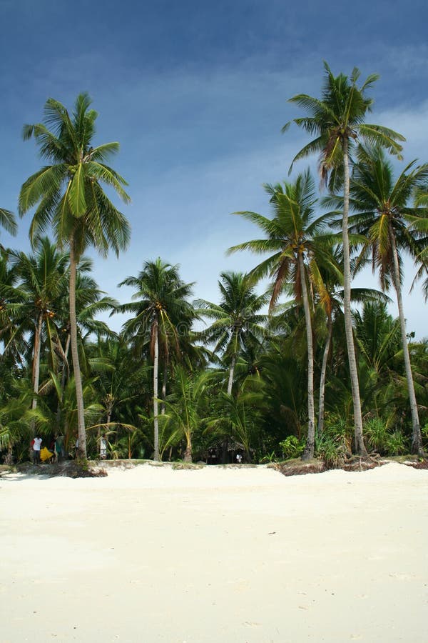 Tropical Beach Boracay Palm Trees Philippines Stock Image - Image of ...