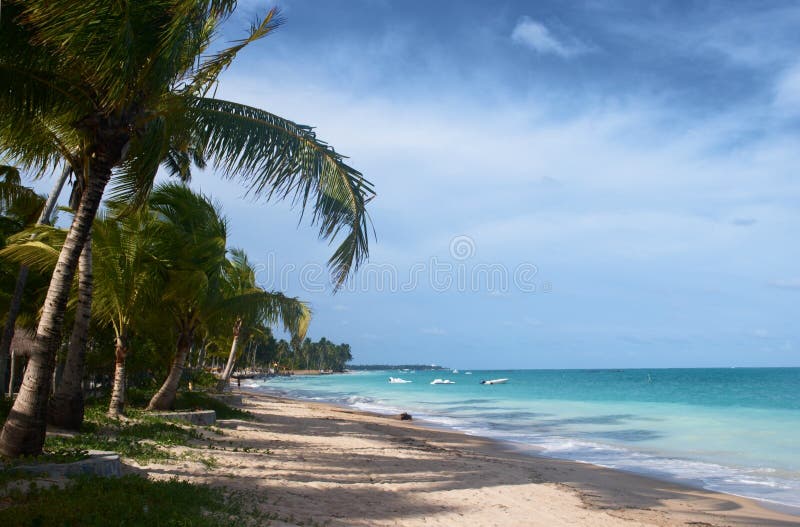 Tropical beach in Brazil stock image. Image of transparency - 8561267