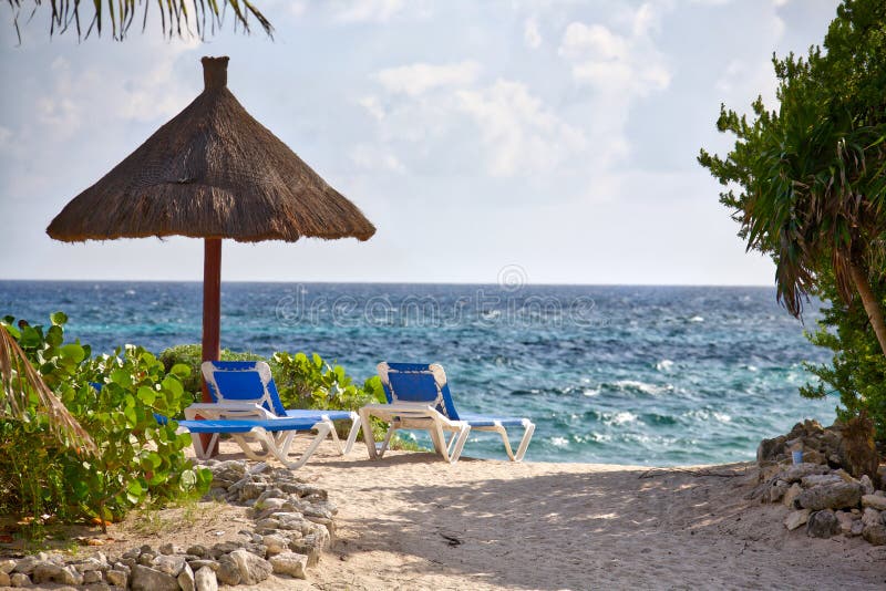 Tropical beach stock photo. Image of thatch, travel, holiday - 83024516