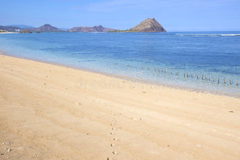 Tropical beach stock photo. Image of clean, beauty, pacific - 64695510