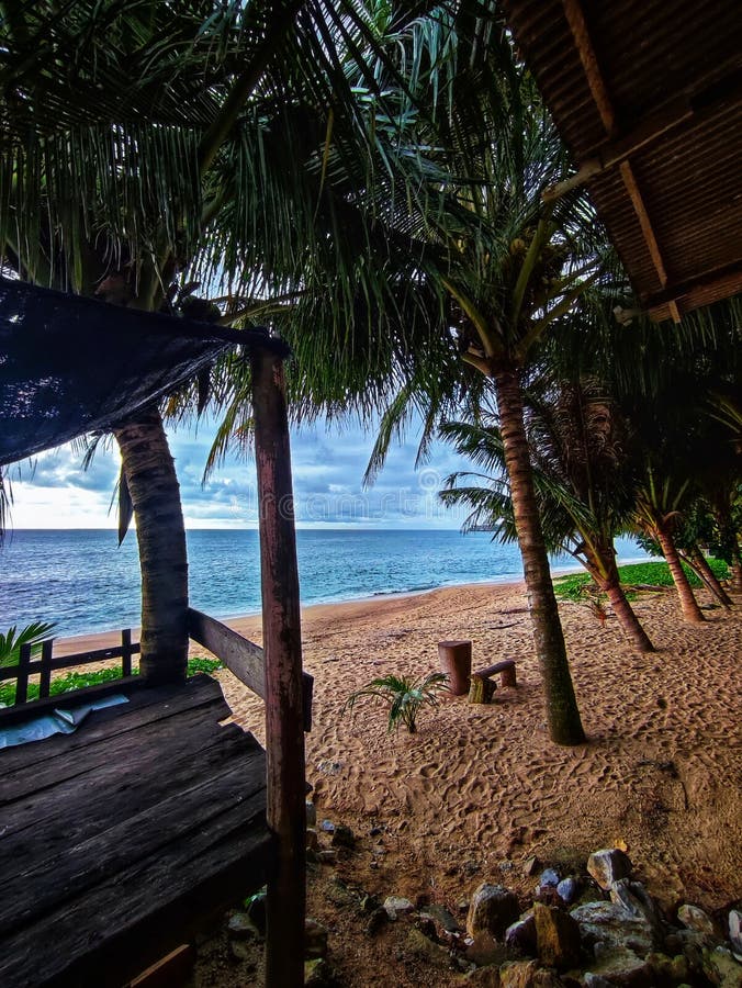 Tropical Beach with Coconut Trees, White Sand, and Beautiful Ocean ...