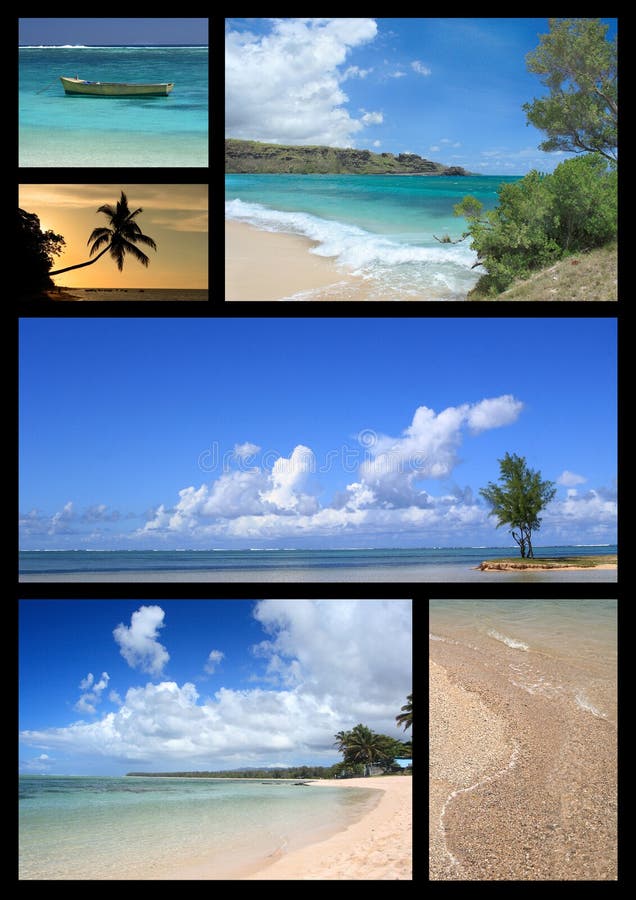Tropical beach collage stock photo. Image of casuarina - 29693404