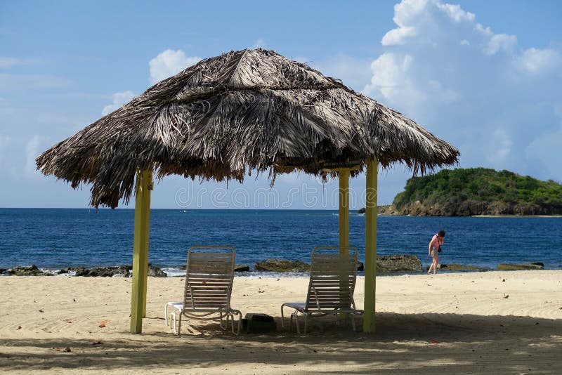 Beach Comber stock image. Image of beach, comber, tractor - 20942197