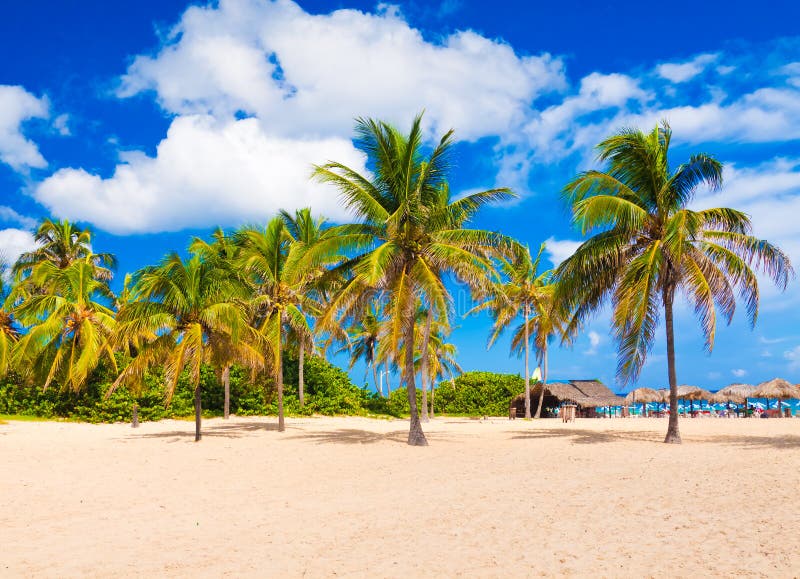 Tropical beach in Cuba stock image. Image of tree, america - 21862471