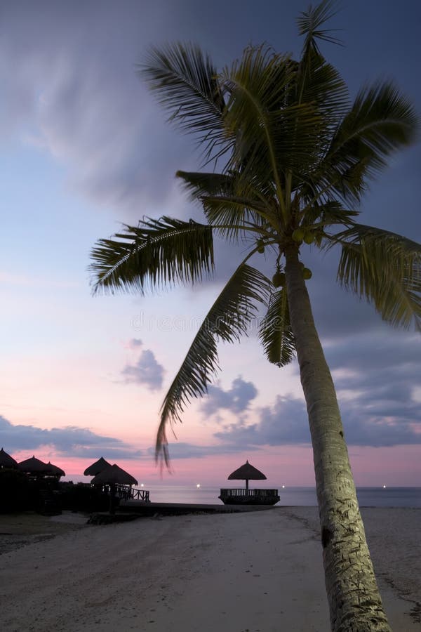 Tropical Beach Evening stock photo. Image of island, coconut - 10968848