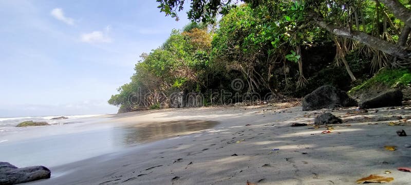 Tropical beach with forest stock image. Image of sand - 191976519
