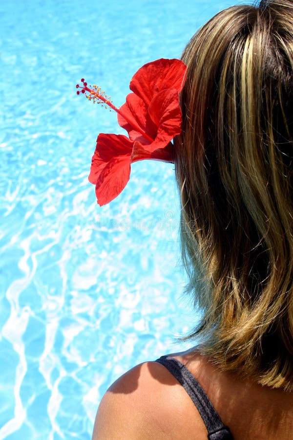 Tropical Beach Girl stock photo. Image of flower, hibiscus - 184306