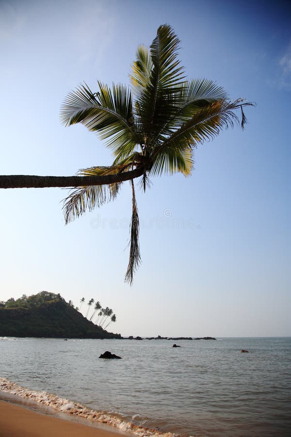 Tropical Beach in Goa, India Stock Image - Image of tropical, sunrise ...