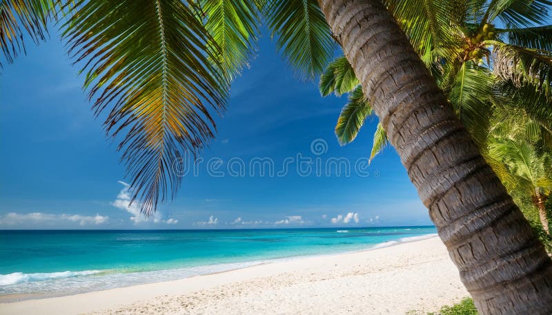 Tropical beach scene stock illustration. Illustration of summer - 335497724