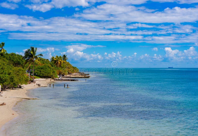 Tropical Beach Looks Like Bahamas with Clear Water Stock Image - Image ...
