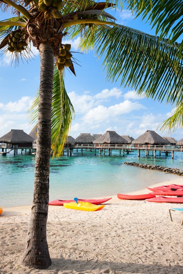 Over Water Villas on a Tropical Lagoon of Moorea Island, Tahiti Stock ...