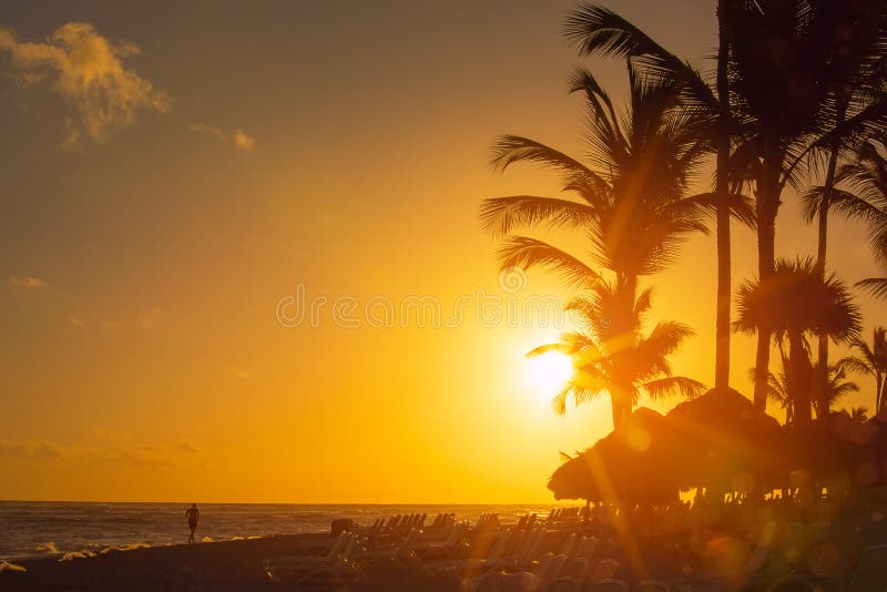 Tropical Beach in Morning Light Stock Photo - Image of viewpoint ...