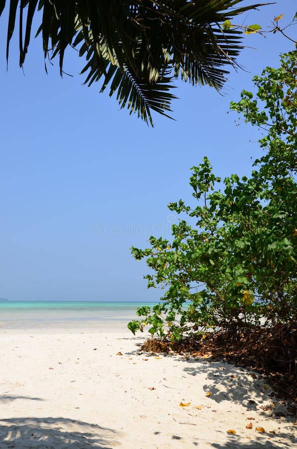 Tropical Beach and the Ocean Stock Image - Image of water, climate ...