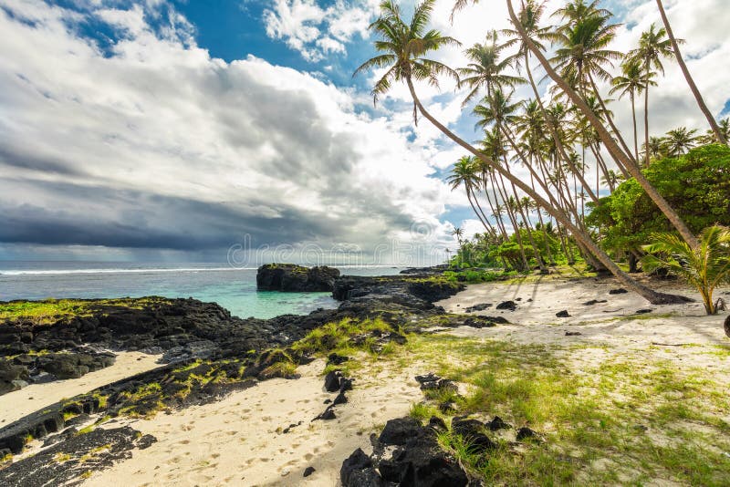 Tropical Beach and Ocean on Samoa Island with Palm Trees during Stock ...