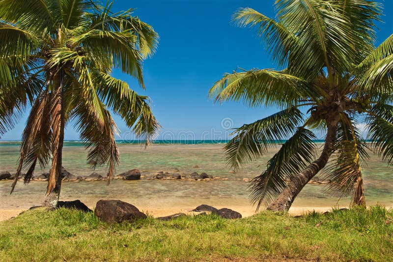 Tropical Beach on the Ocean Shore Stock Image - Image of green, color ...