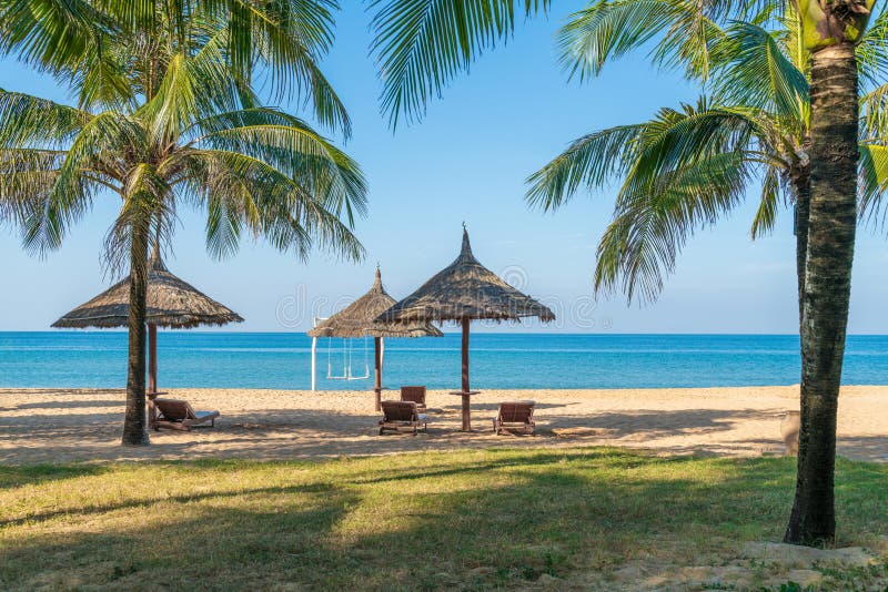 Tropical Beach with Palm Tree and Leaf Umbrellas Stock Image - Image of ...