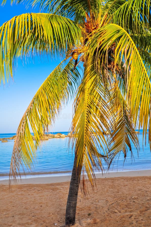 Tropical beach stock photo. Image of sand, lagoon, seascape - 30541772