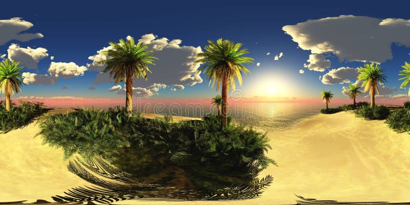 Beautiful Tropical Sunset on the Beach with Palm Trees Over the Sea in ...