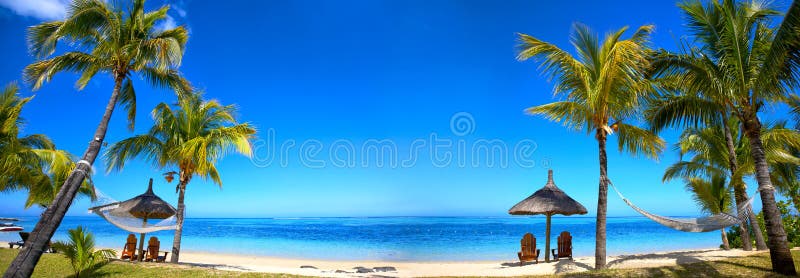 Tropical beach panorama stock photo. Image of coconut - 35487974