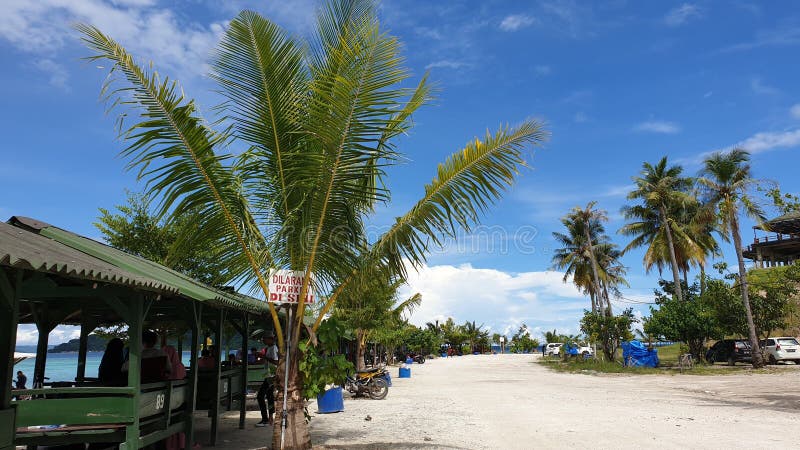 Tropical Beach Paradise with Blue Sky, Palm Trees, and Thatched Gazebos ...