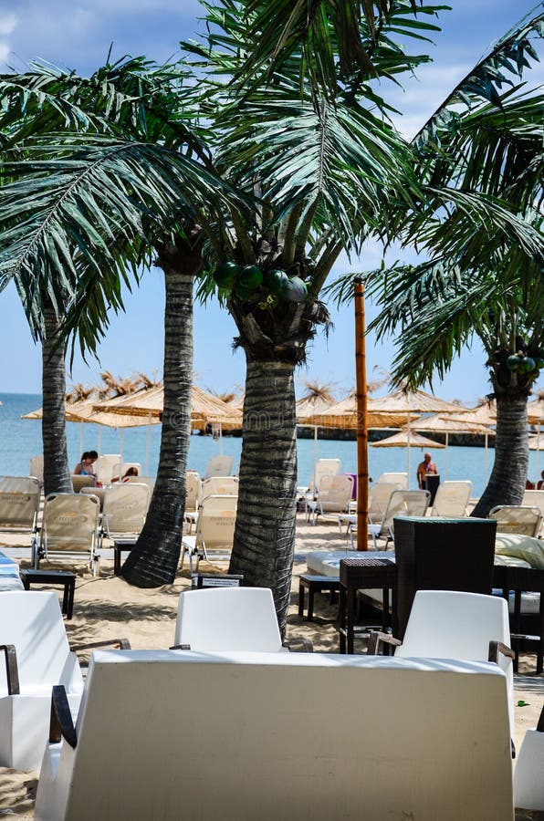 Tropical beach editorial stock photo. Image of azure - 78146743