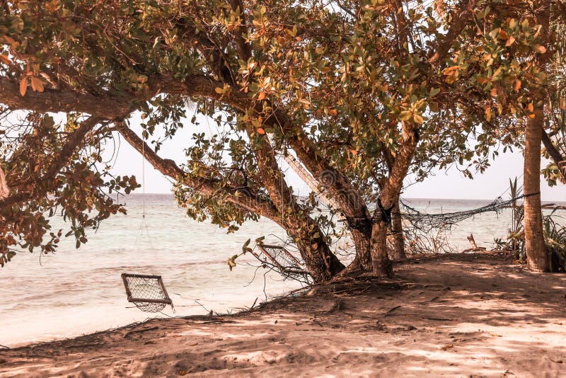 Tropical Beach Photo Which is Edited Stock Photo - Image of autumn ...
