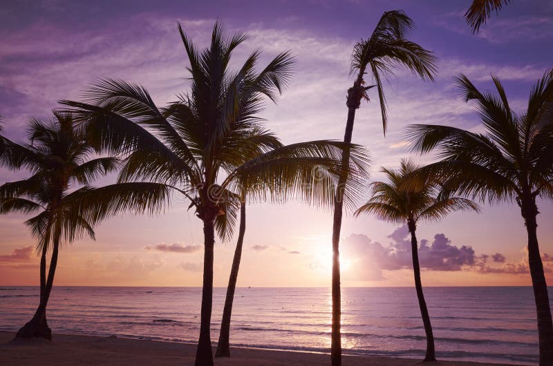 Tropical Beach at Purple Sunset, Color Toning Applied, Mexico Stock ...