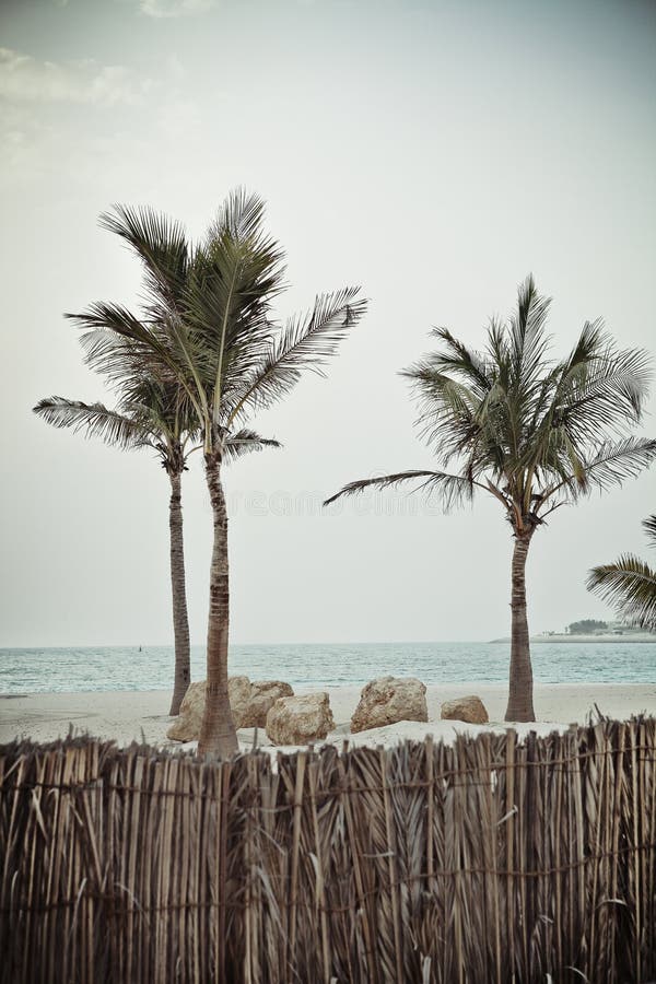 Tropical Beach in Retro Style Stock Image - Image of blue, leaf: 24536471