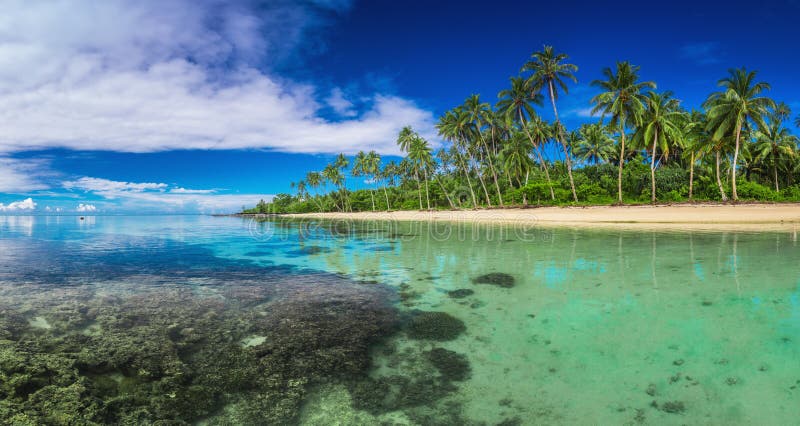 Tropical Beach on Samoa Island with Palm Trees Stock Photo - Image of ...