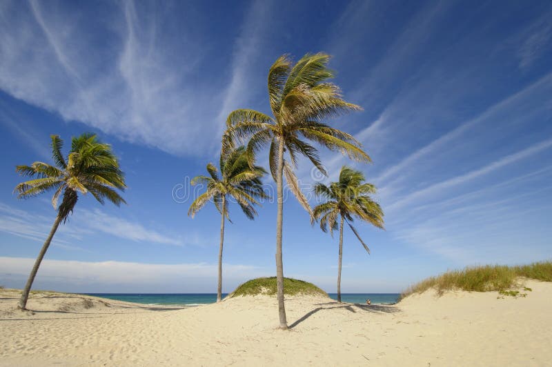 Tropical Beach at Santa Maria Del Mar, Cuba Stock Image - Image of ...
