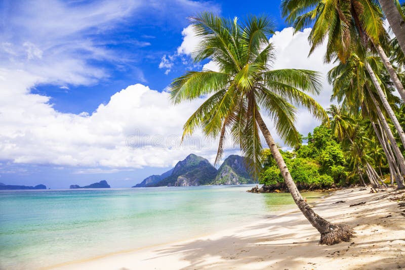 Tropical beach scenery stock photo. Image of coastline - 49714372