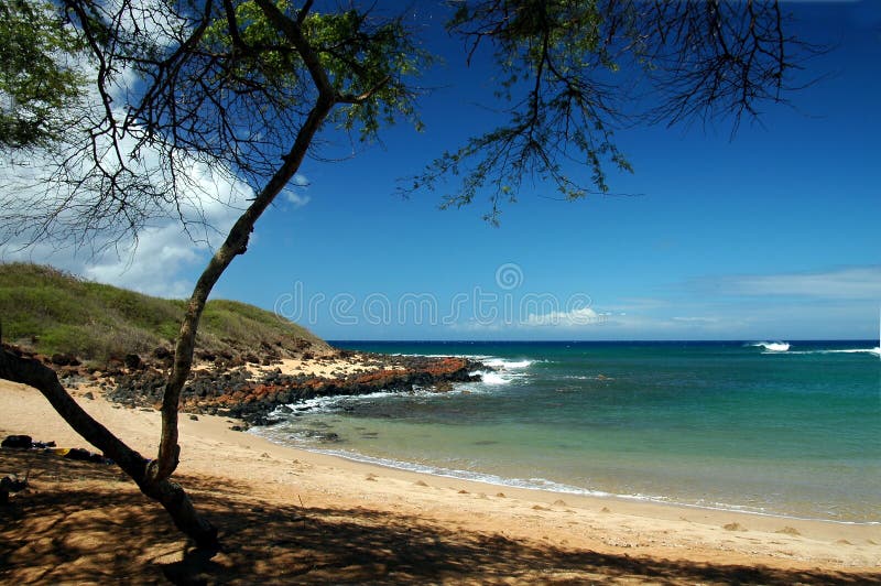 Tropical Beach Setting stock photo. Image of beach, seaside - 1352688