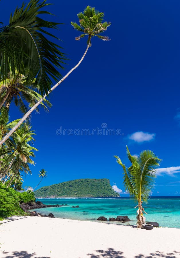 Tropical Beach on South Side of Samoa Island with Coconut Palm Trees ...