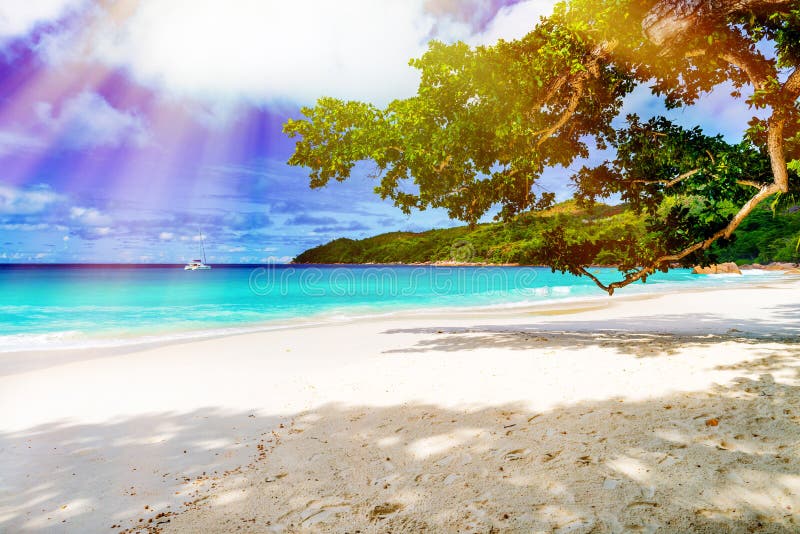 Tropical Beach on the Sunny Day Stock Image - Image of exotic, lagoon ...