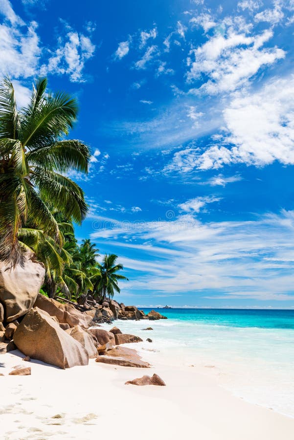 Tropical sunny beach stock image. Image of beauty, digue - 31462125