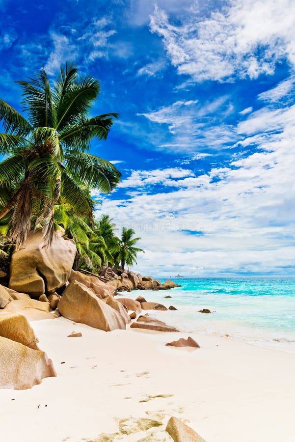 Tropical Beach on the Sunny Day Stock Image - Image of landscape, calm ...