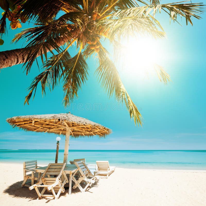 Tropical beach stock photo. Image of sunny, peaceful - 30587756