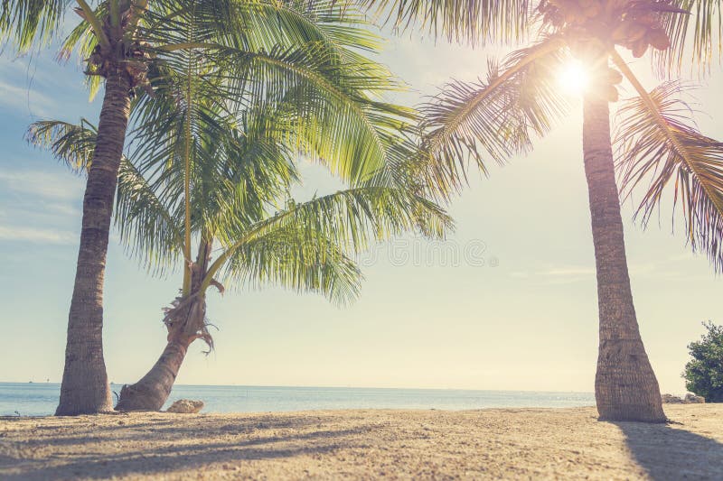 Tropical beach sunset stock photo. Image of sunrise - 276793380