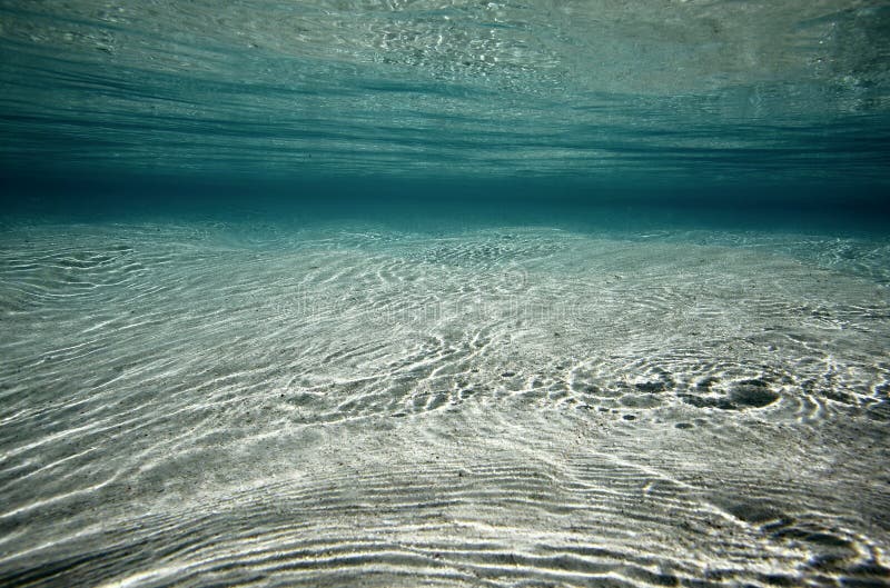 Tropical Beach Underwater View Stock Image - Image of papua, island ...