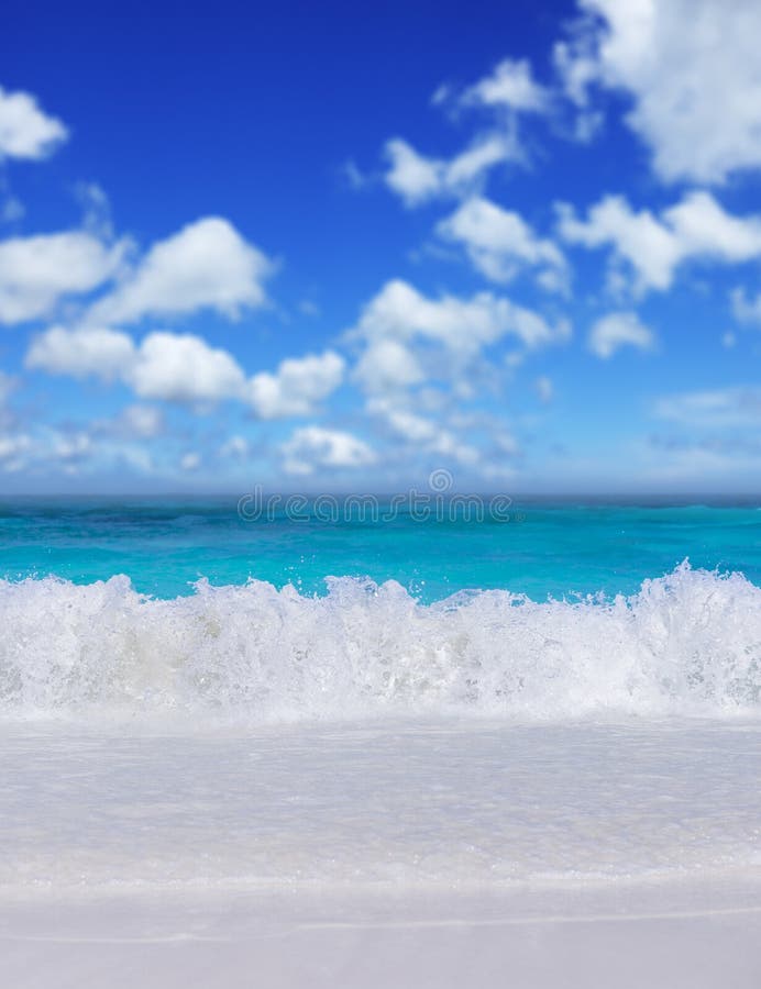 Tropical Beach. Vertical Composition. Stock Image - Image of dream ...