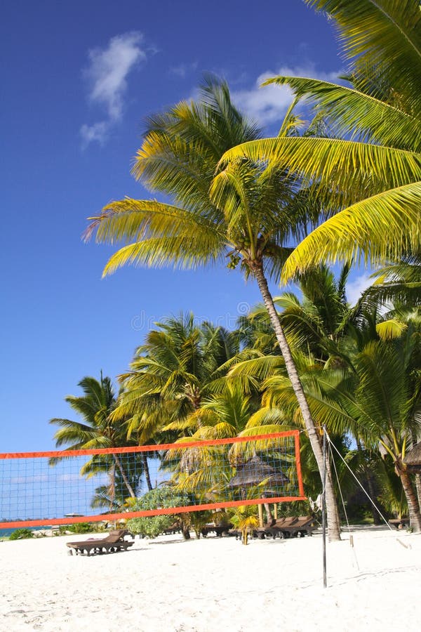 Tropical Beach with Volleyball Net Under Palm Trees Stock Image - Image ...