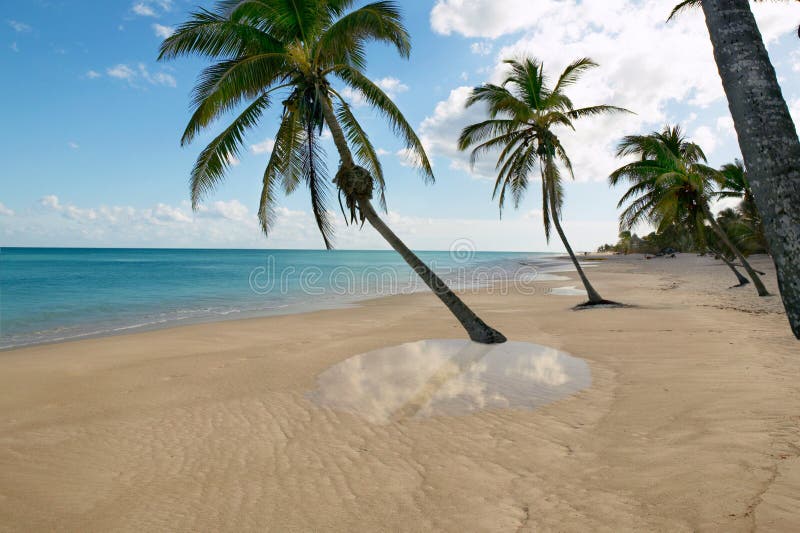 Tropical Beach Water Reflection Caribbean Stock Image - Image of ...