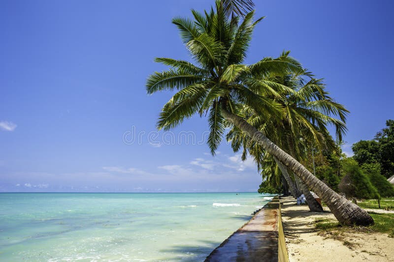 Talavera pots stock photo. Image of depth, bright, color - 30689434