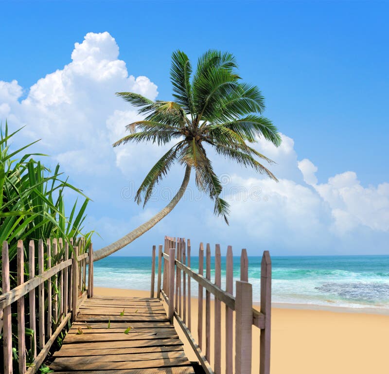 Tropical beach stock photo. Image of blue, island, palm - 47661968