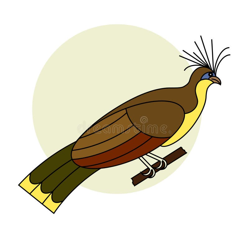 Tropical Bird Hoatzin on a White Background Stock Vector - Illustration ...