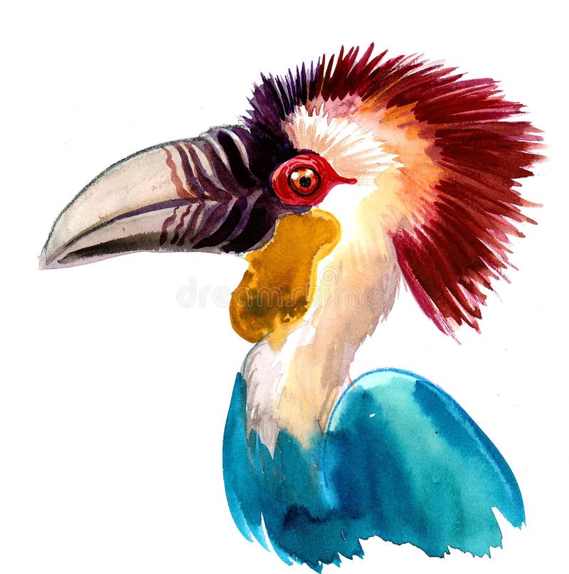 Tropical bird stock illustration. Illustration of watercolor - 256632202