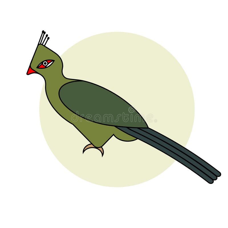 Tropical Bird Tauraco on a White Background Stock Vector - Illustration ...