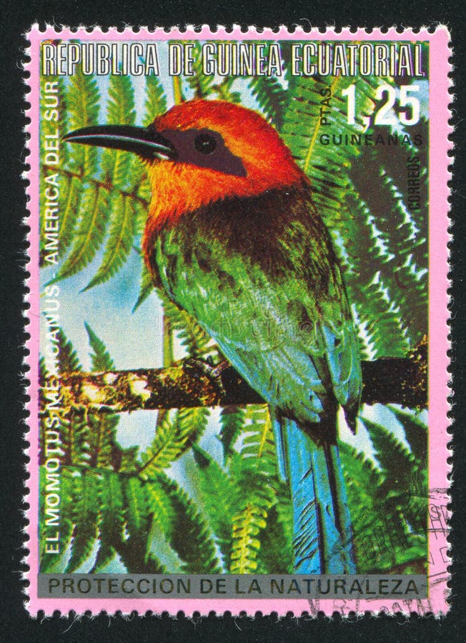 Tropical birds editorial image. Image of outdoors, ancient - 241336275