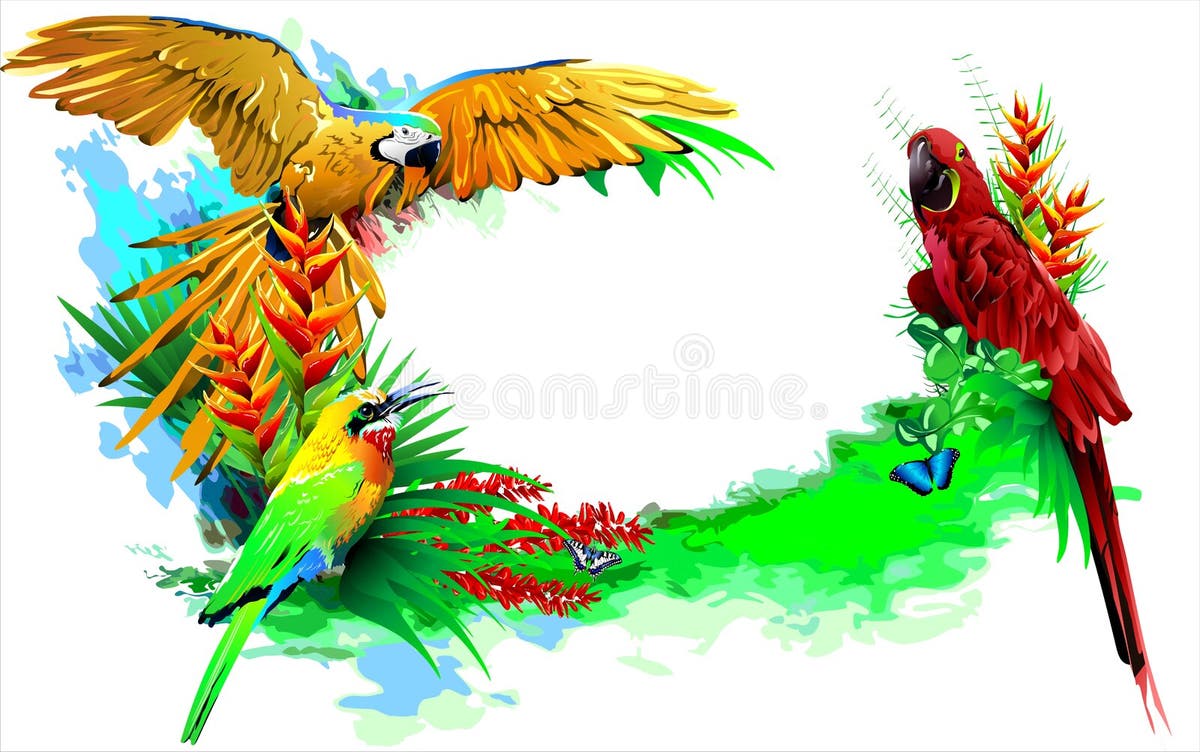 Coreldraw X13 Stock Illustrations – 31 Coreldraw X13 Stock ...