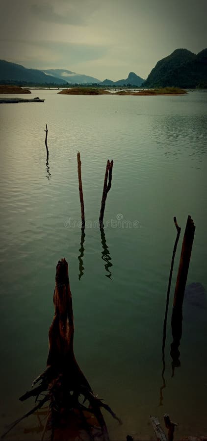 Tropical blue lagoon stock photo. Image of leaf, plant - 190013640